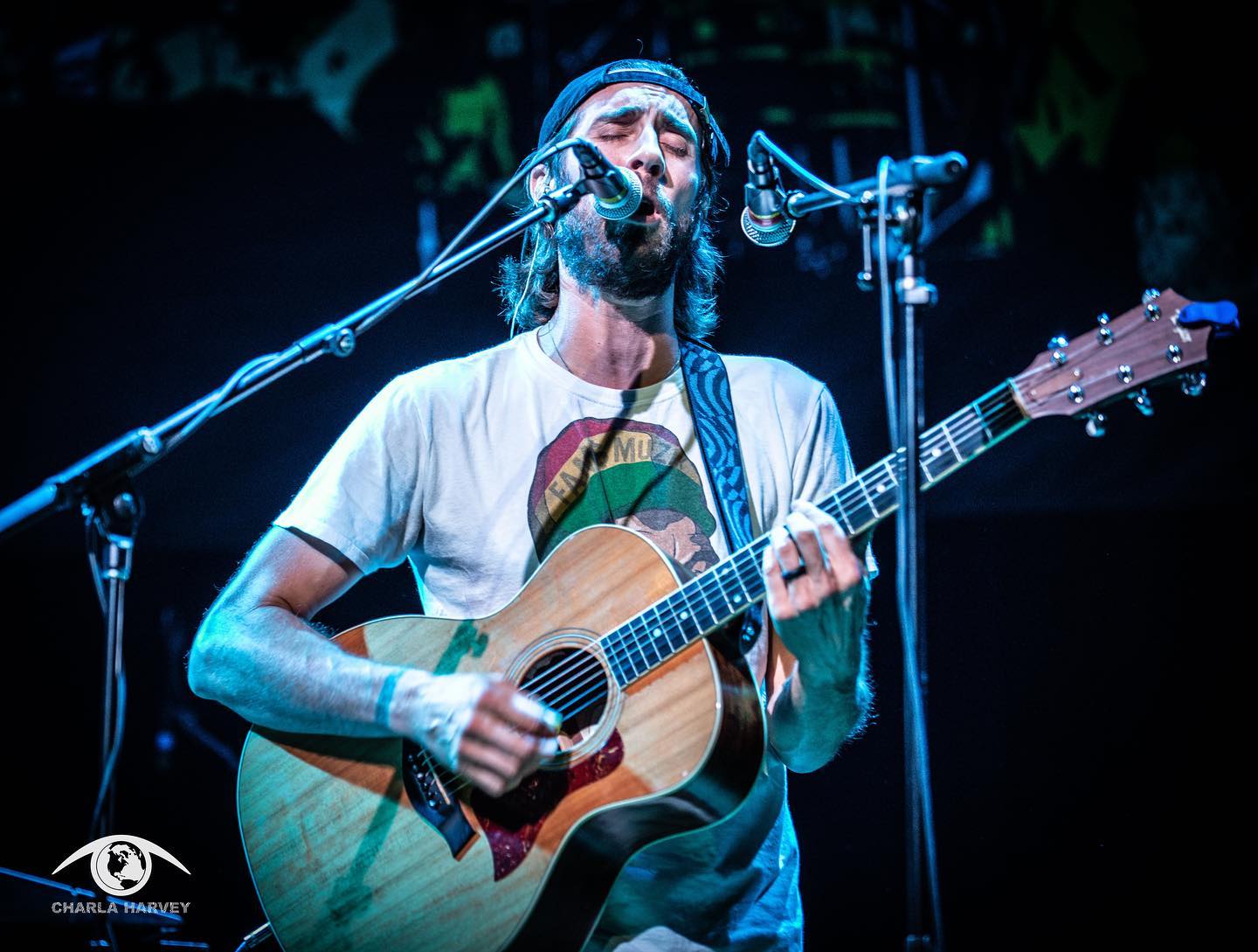 Artist of the Month - Dave Halchak - January 2022 - Mile High Reggae
